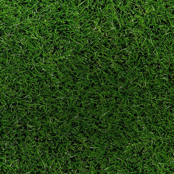 Clients | Recreational Services